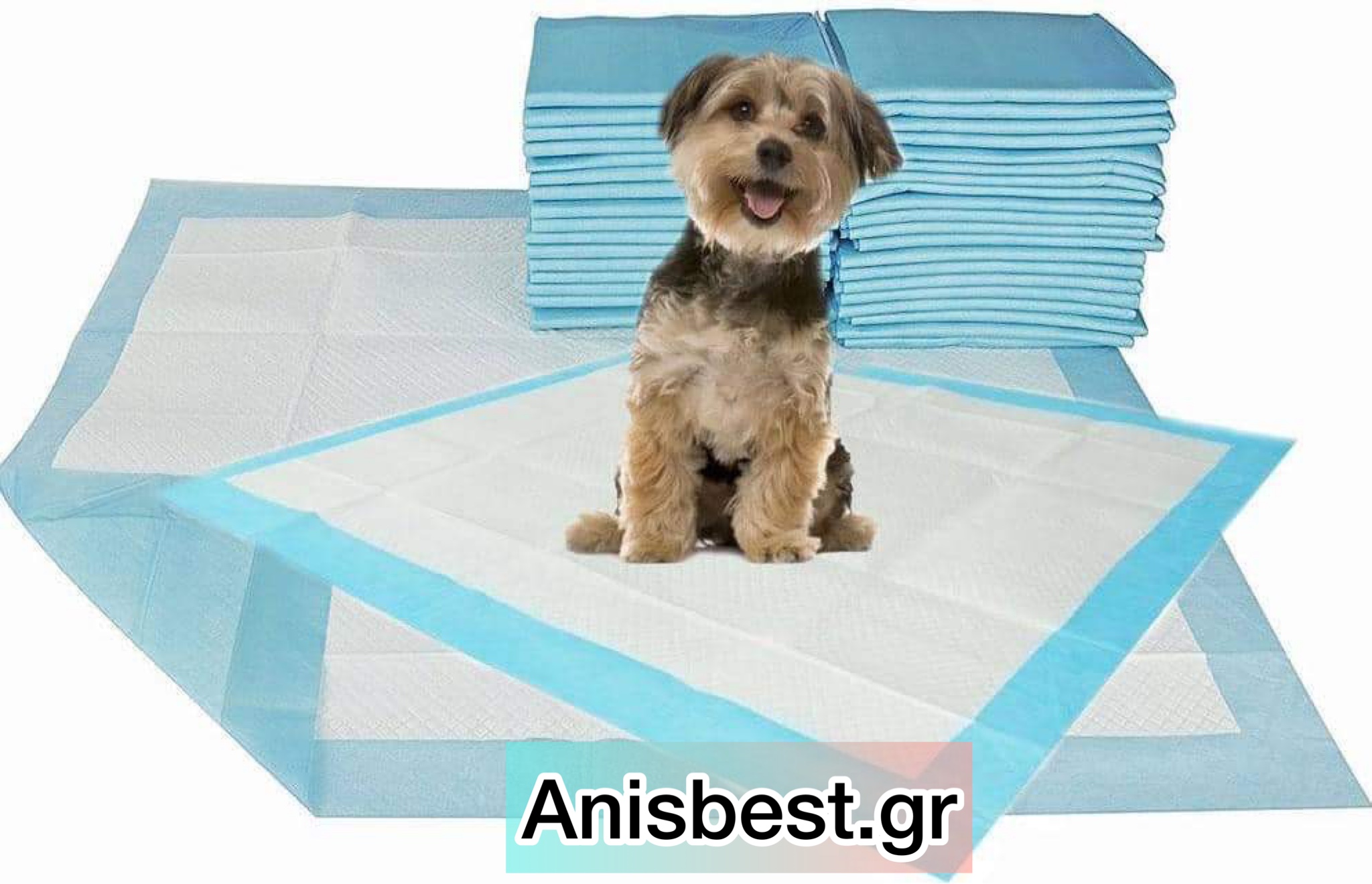 ΠΑΝΕΣ ΓΙΑ ΚΑΤΟΙΚΙΔΙΑ ΣΕΤ 50ΤΜΧ - AnisBest